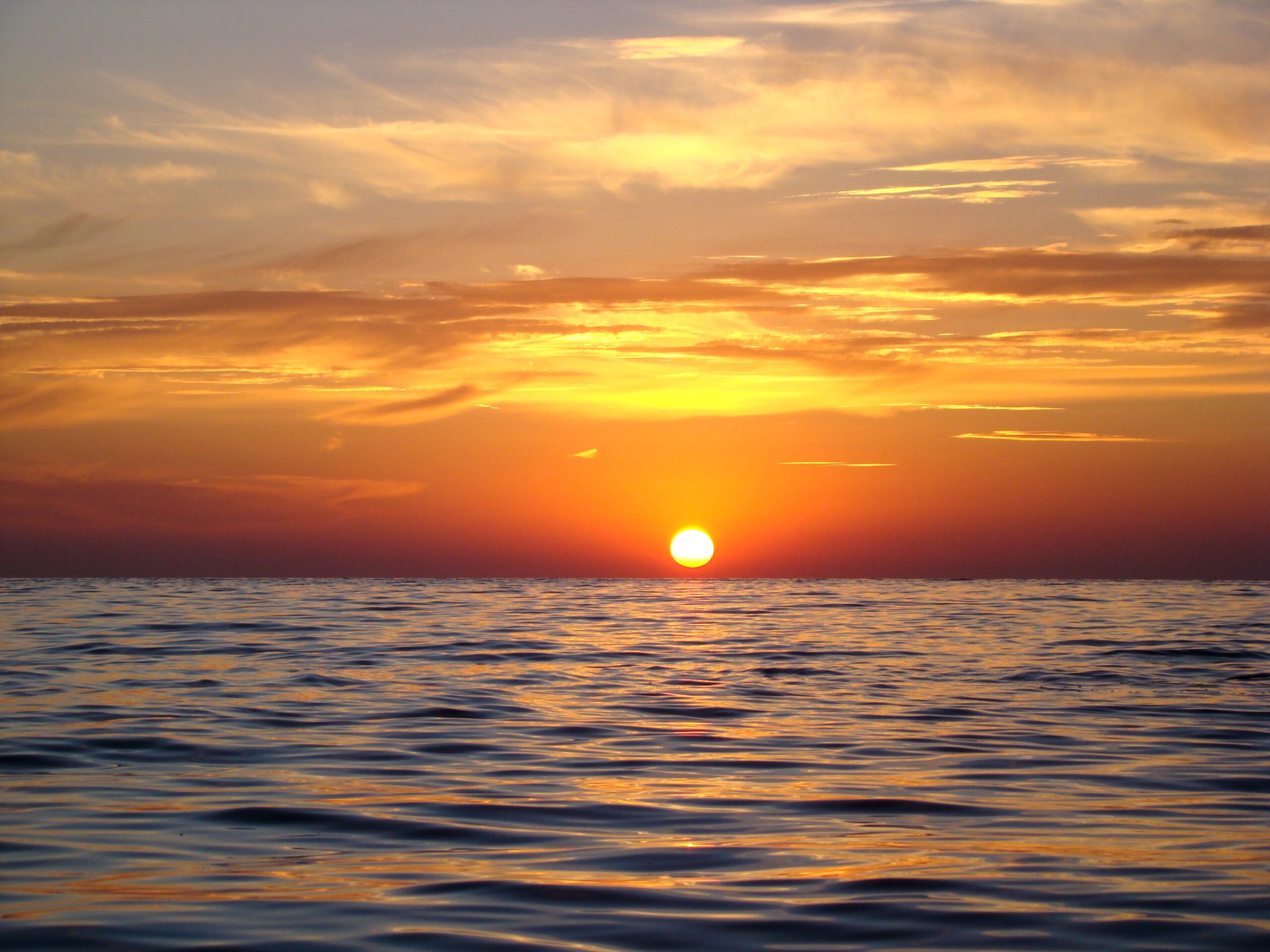 Janice Shafer - Bigger Vision Coach - Seeing Possibilities